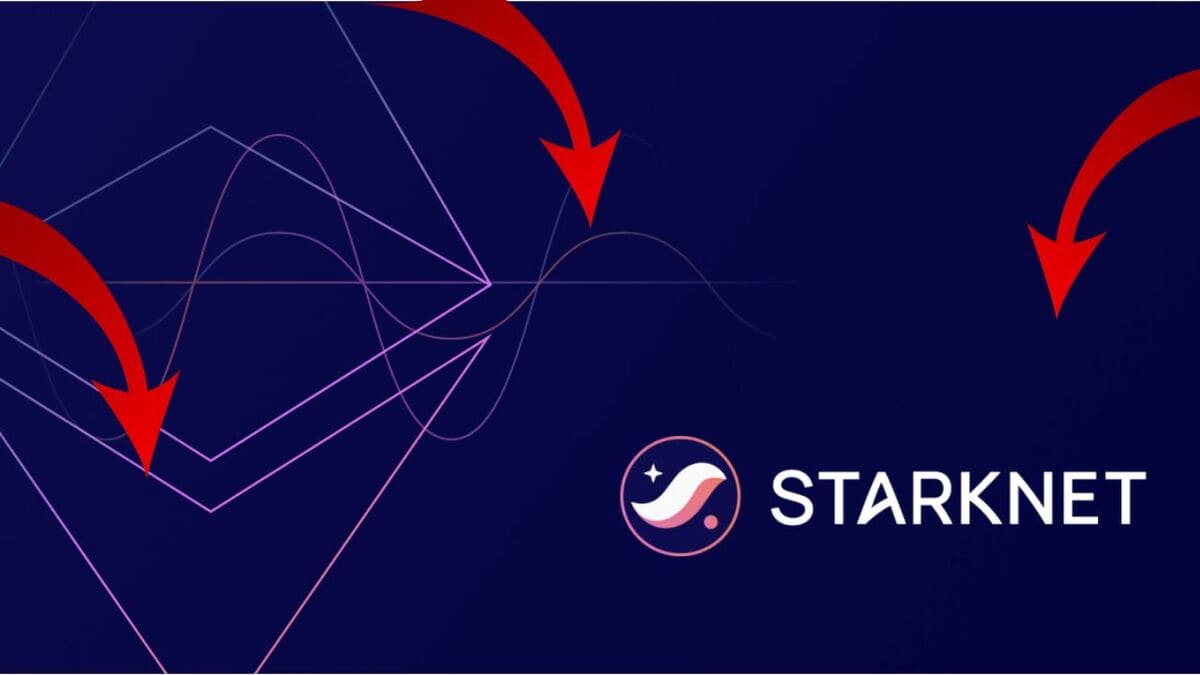 La Base de Usuarios de Starknet se Desploma Antes del Airdrop de Tokens ...