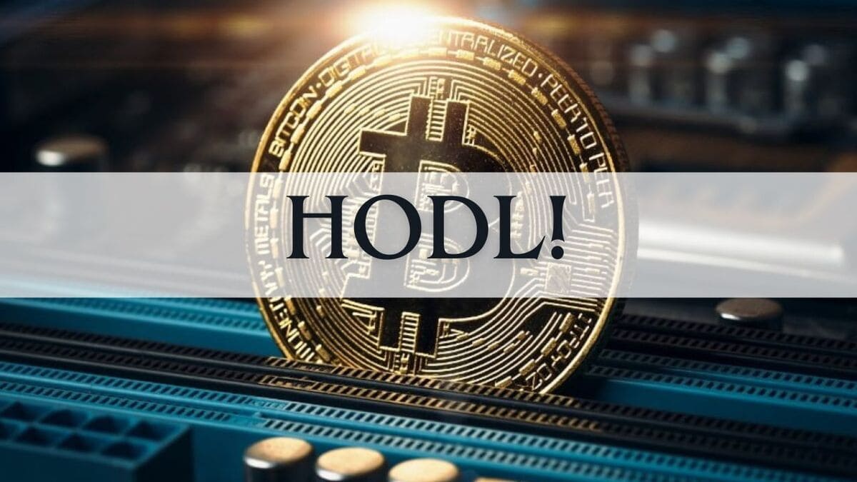 La Demanda de Bitcoin Aumenta a Medida Que los HODLers Superan la Emisión de los Mineros Por ...