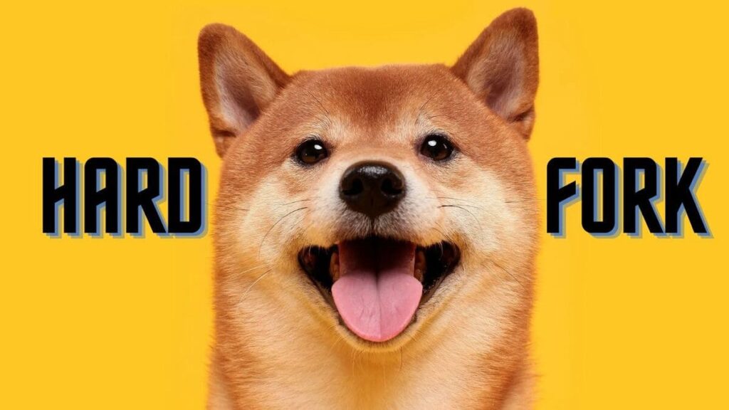 Shibarium, de Shiba Inu, Completa su Hard Fork y Promete Transacciones ...