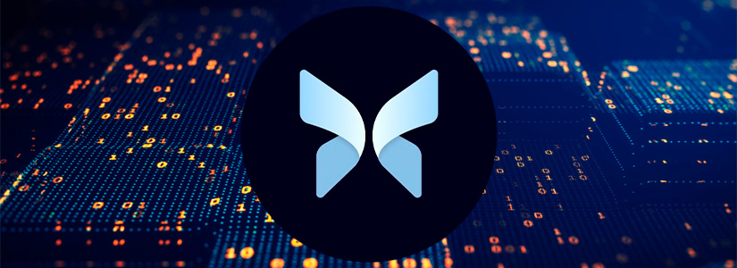 Morpho debuta en la red Layer-2 de Coinbase, Base - Crypto Economy ESP
