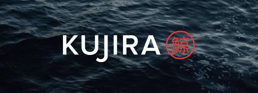 Kujira Token Drops 47% After Massive Liquidation, Team Reports Attack ...