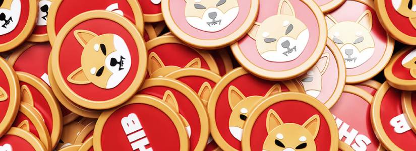 Shibarium Celebrates 1 Year with Milestones That Could Redefine SHIB’s ...