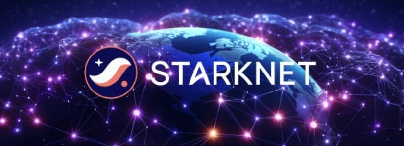 Starknet CEO Abruptly Resigns After Less Than 2 Years - What is Going ...