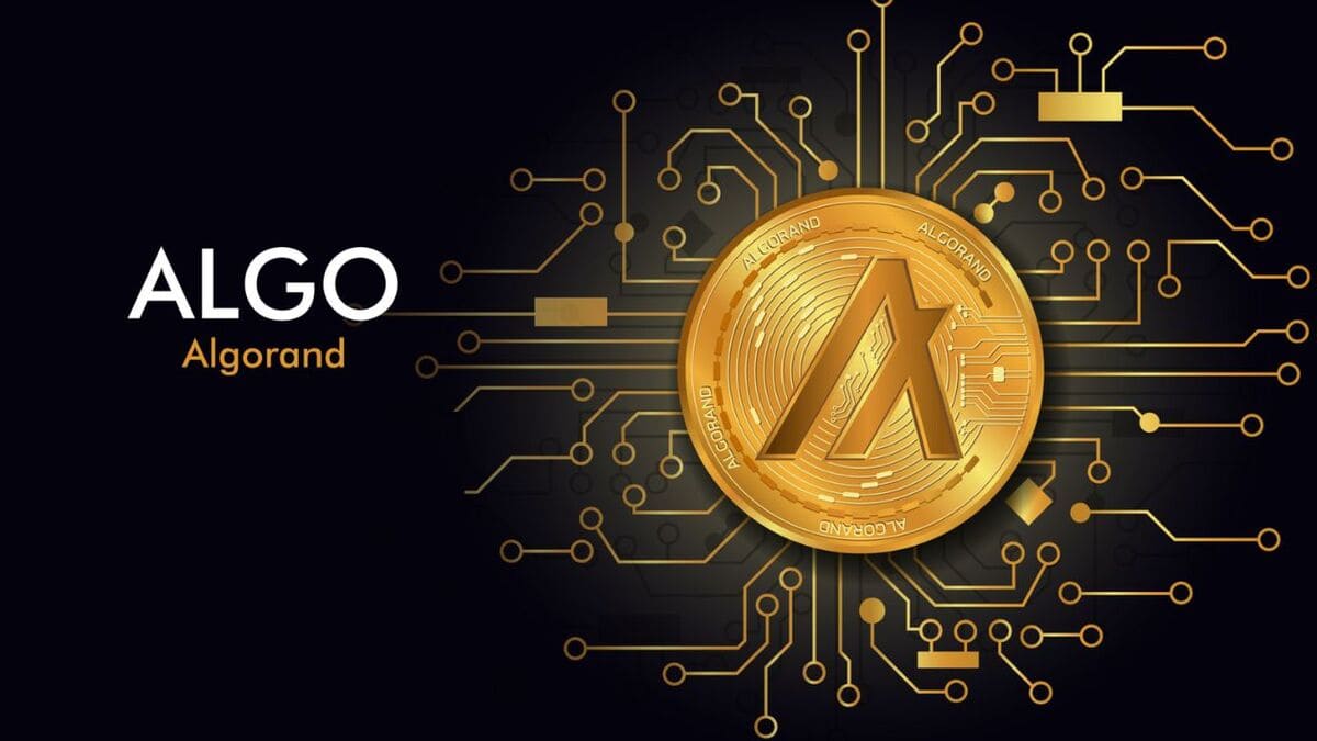 Algorand se Dispara Más del 37% en Un Día—Alcanzando un Máximo de Dos Años - Crypto Economy ESP