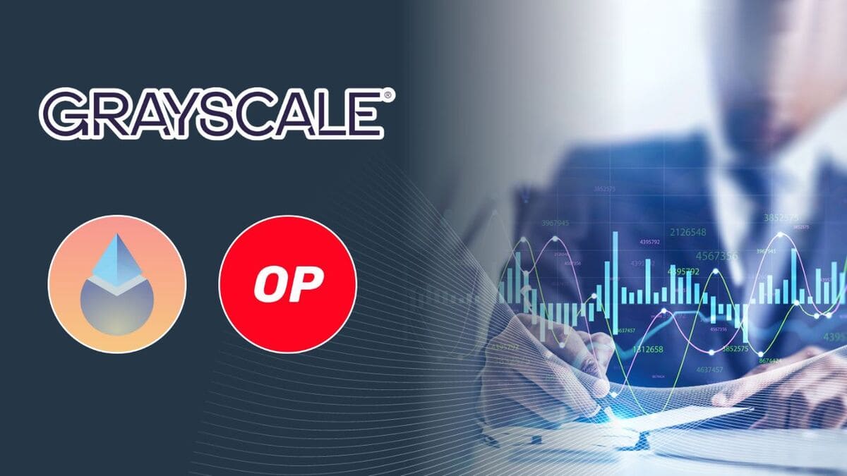 Grayscale Apuesta Fuerte por Optimism y Lido DAO Con el Lanzamiento de ...