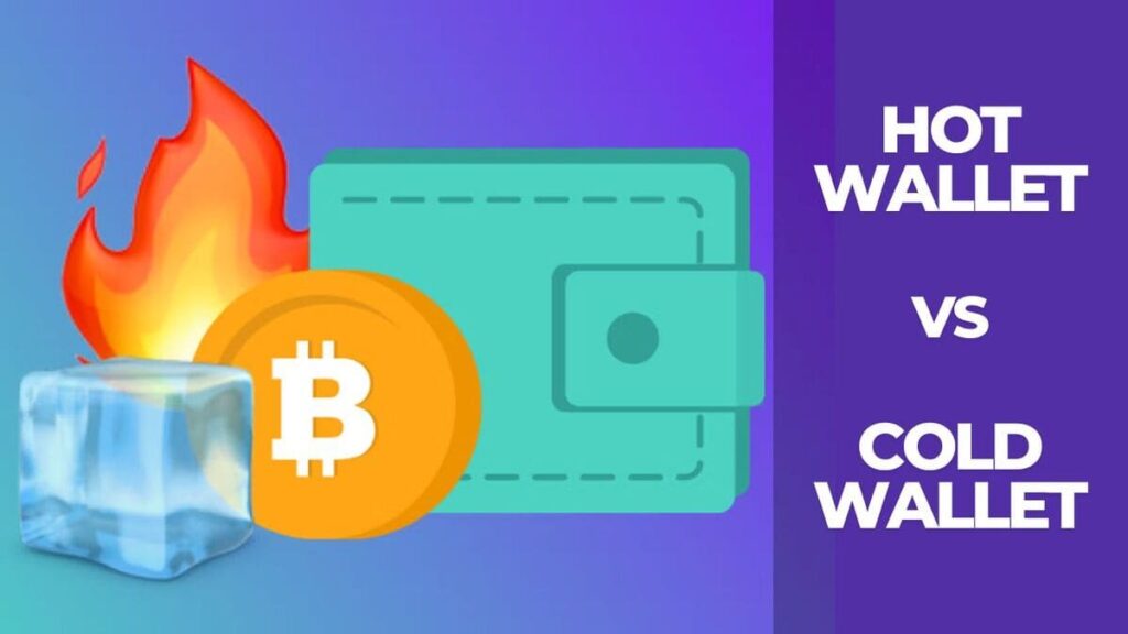 Hot vs Cold Wallets: ¿Cuál es Más Segura? - Crypto Economy ESP