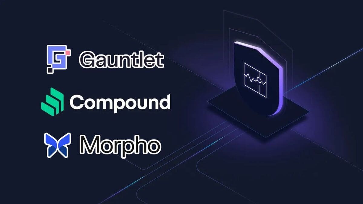 Compound Lanza Nuevos Vaults en Polygon y Enfrenta Críticas por Acuerdo con Morpho - Crypto ...