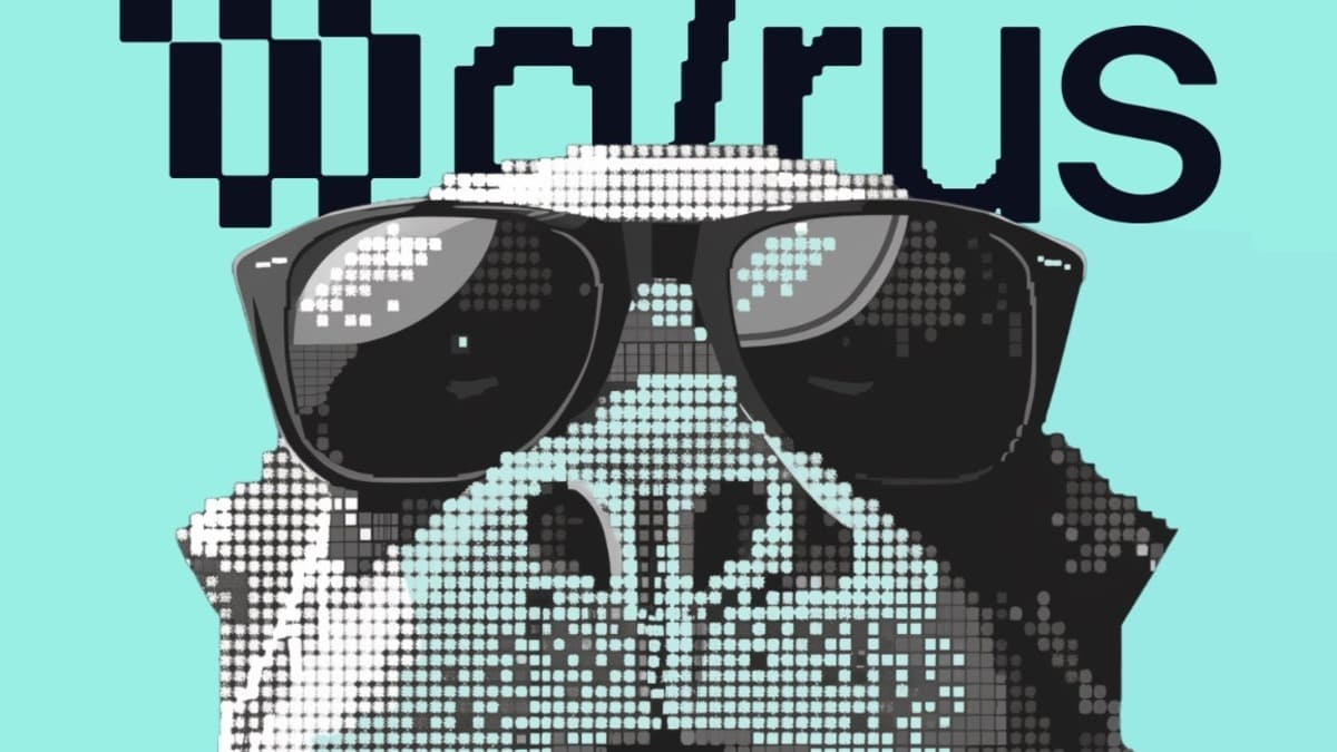 Walrus Protocol Anuncia la Fecha de Lanzamiento de su Mainnet, Airdrop y una Inversión Privada ...