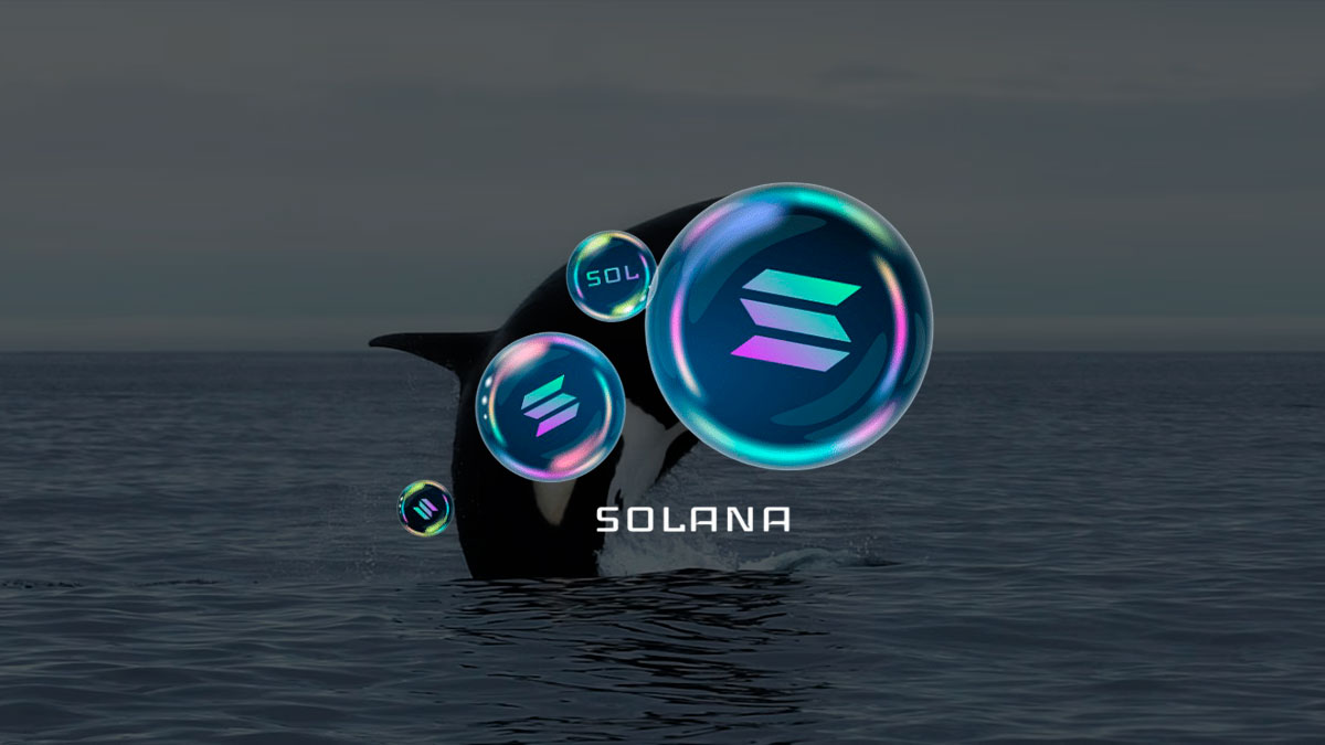 Alerta de Whales de Solana: Grandes actores señalan un posible aumento de precio - Crypto ...
