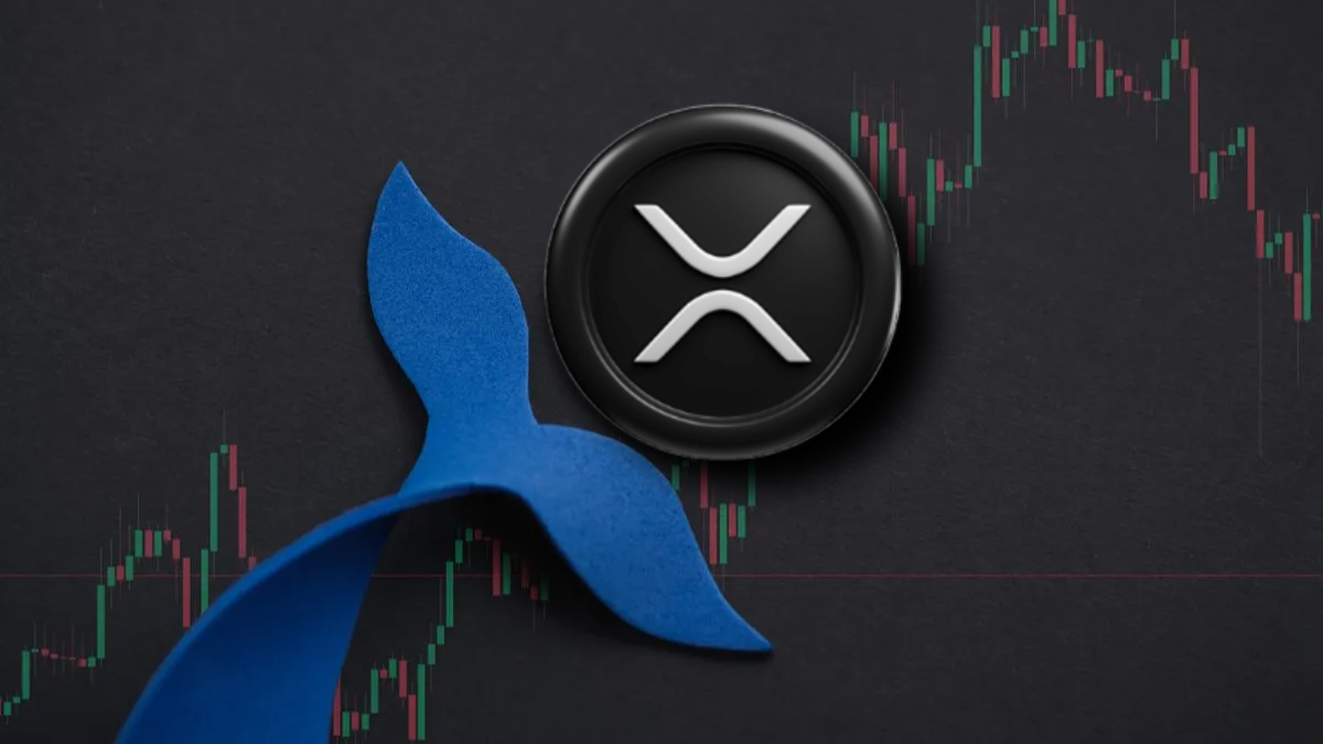 XRP Se Mantiene Estable Mientras las Ballenas se Lanzan: ¿Podría Estar Cerca una Ruptura Hacia ...