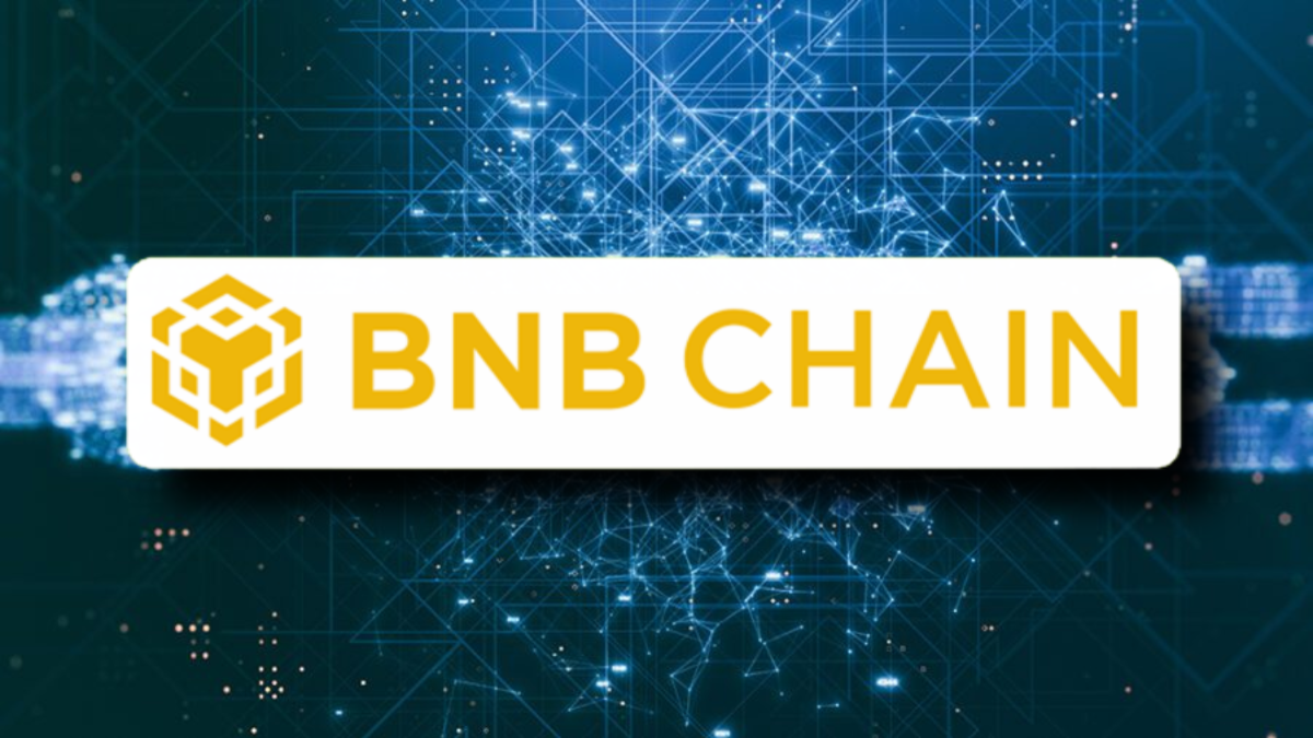 Validadores De BNB Chain Proponen Reducción Del 50% En Tarifas De Gas Para Impulsar La Actividad ...