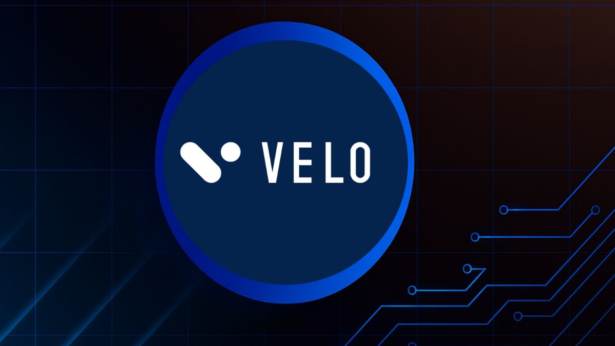 Review de Velo Protocol: Un Cambio Radical en la Utilidad Blockchain ...
