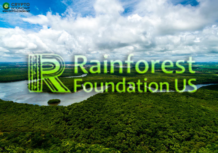 Rain Forest Foundation Sends Its Appeal to the Crypto Community to Help ...