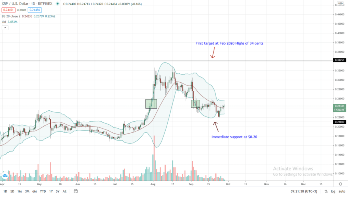 Ripple [XRP] Price Analysis: Bearish below $0.25, XRP Foundation ...