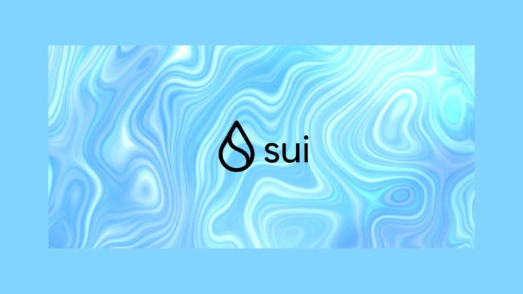 What is SUI Blockchain and What Makes it so Special for Investors ...