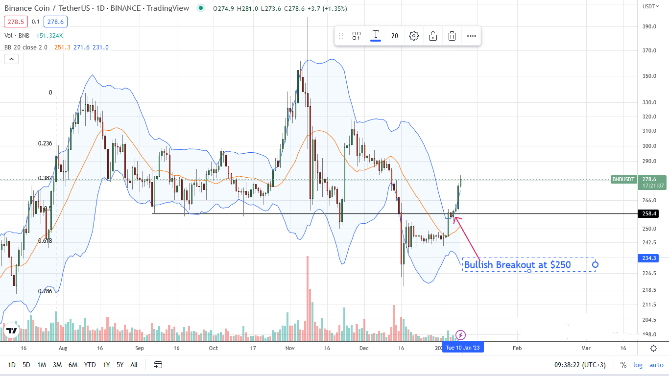 Binance Coin (BNB) Adds 26% Breaking above $250